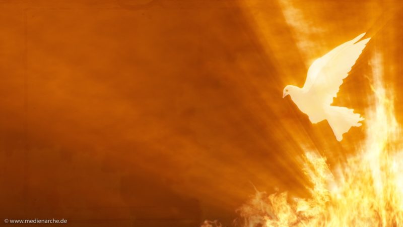 Pfingstfeuer und Taube – Medienarche